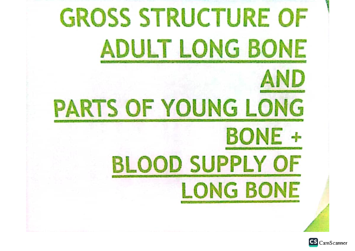 [ Anatomy] Long bones by Dr Sabahat - GROSS STRUCTURE OF ADULT LONG ...