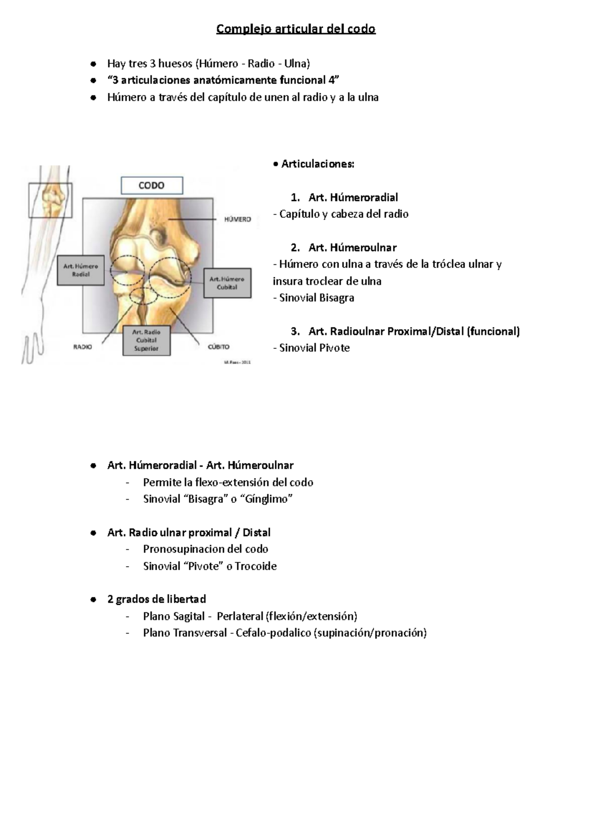 Complejo articular del codo - Art. Húmeroradial - Capítulo y cabeza del ...