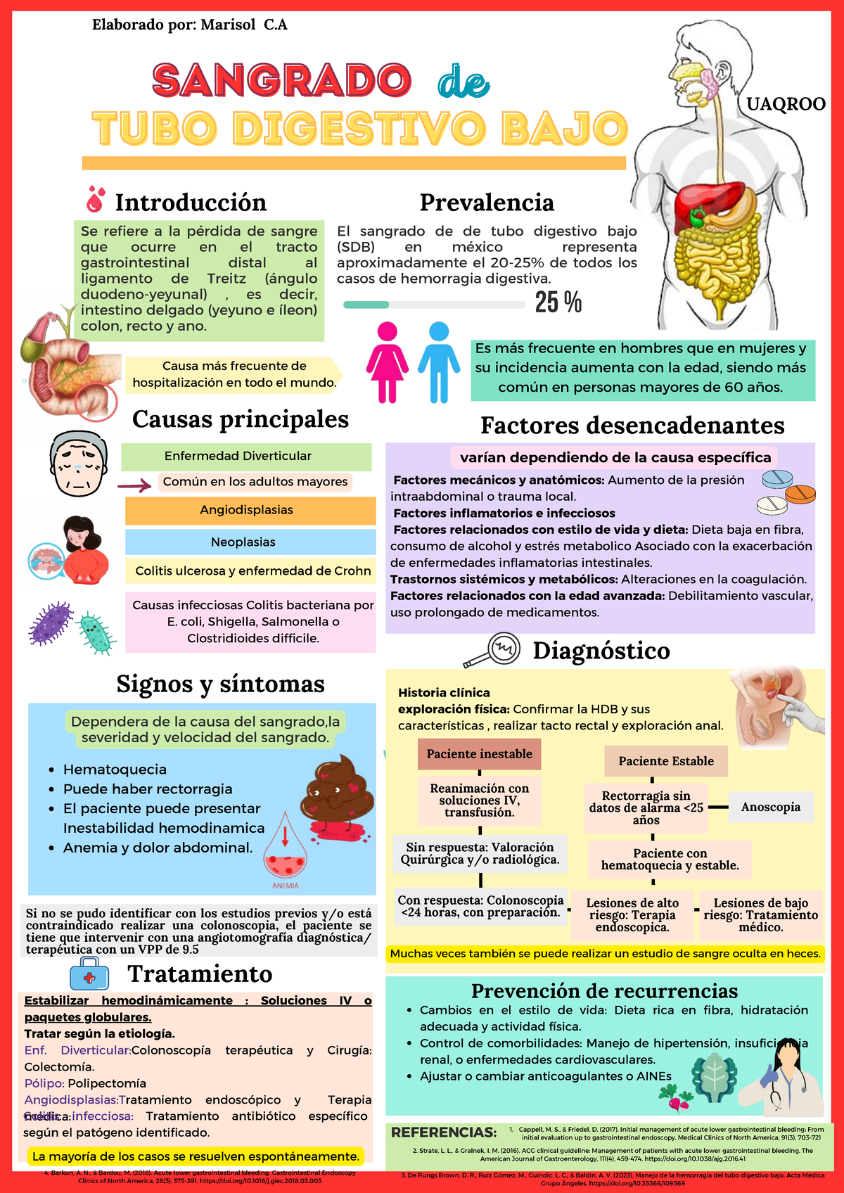 Sangrado de Tubo Digestivo Bajo: Causas, Diagnóstico y Tratamiento ...