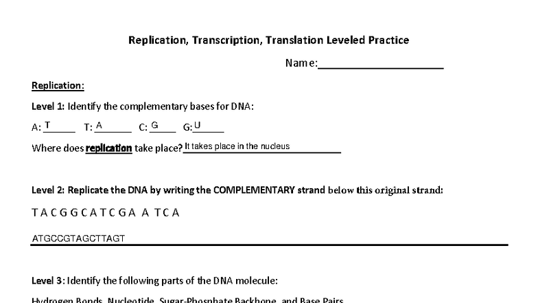 18 Replication, Transcription, Translation Practice Assignment - Studocu
