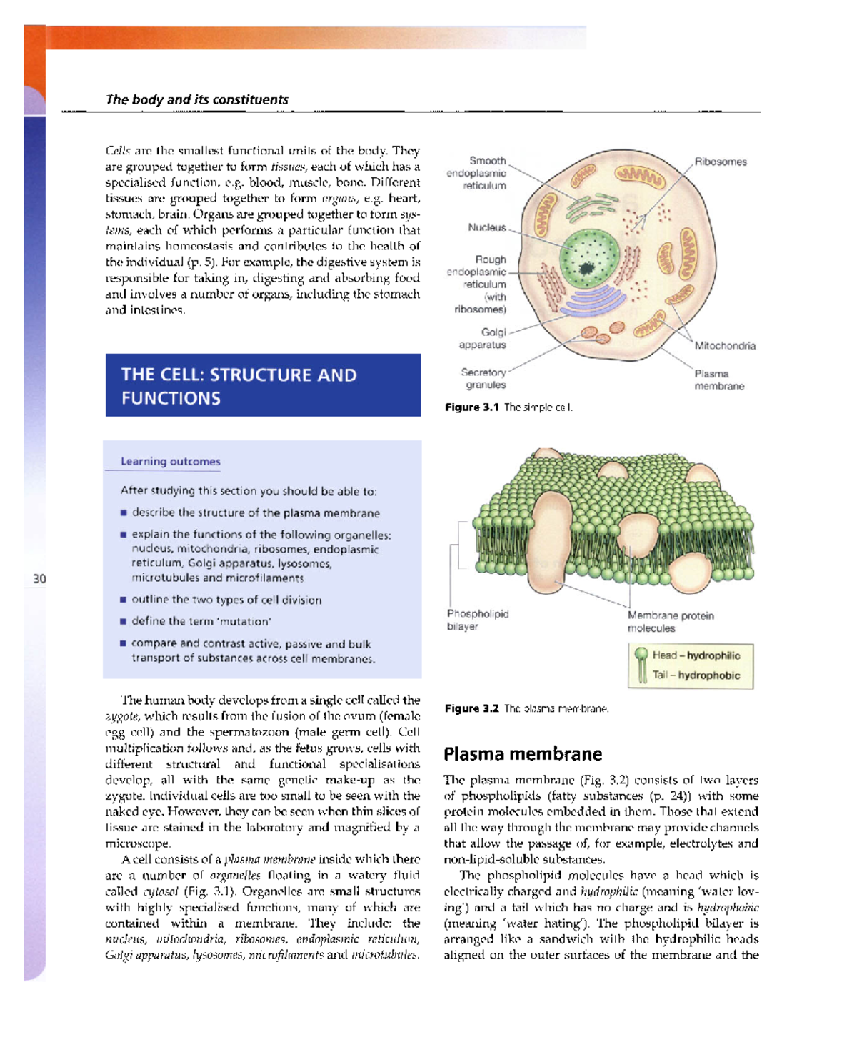 Cellular Organization and Functions: A Study on Cell Structure and ...
