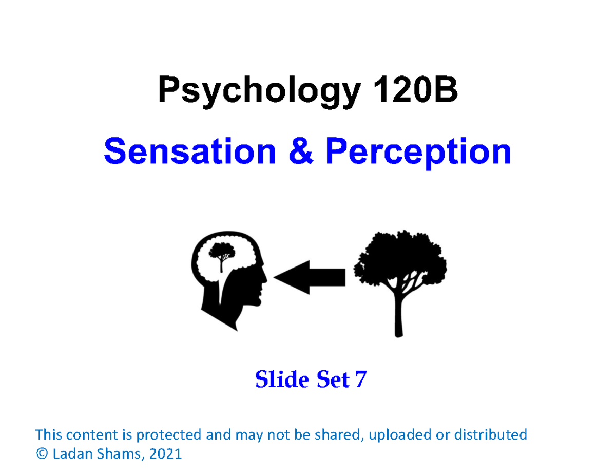 Set-07 - Set-07 - Psychology 120B Sensation & Perception Slide Set 7 ...