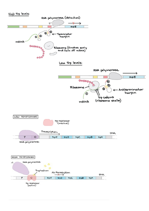 Qcaa biology unit 3 compiled notes 2021 - BIOLOGY UNIT 3 BIOLOGY AND ...