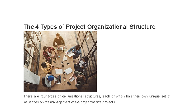 The 4 Types of Project Org Structures: Functional, Matrix & More - Studocu