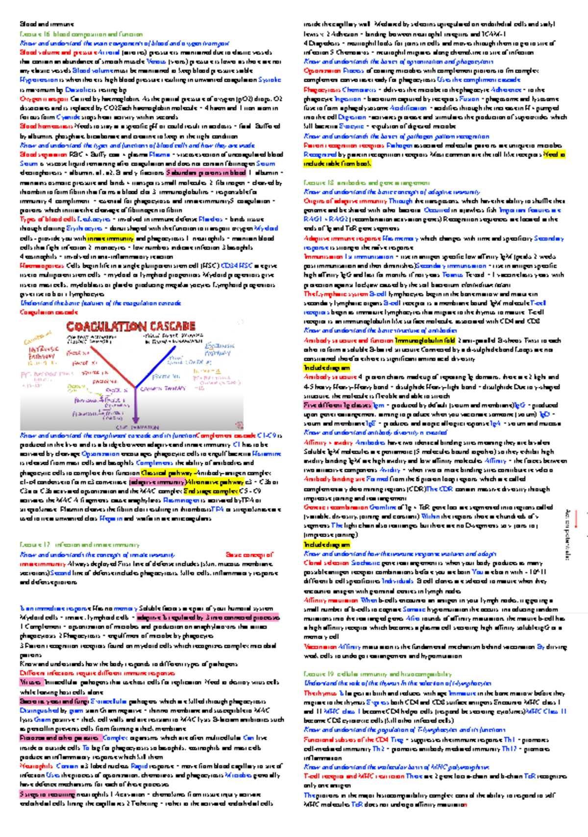 Final exam cheat sheet - Blood and immune Lecture 16: blood composition ...