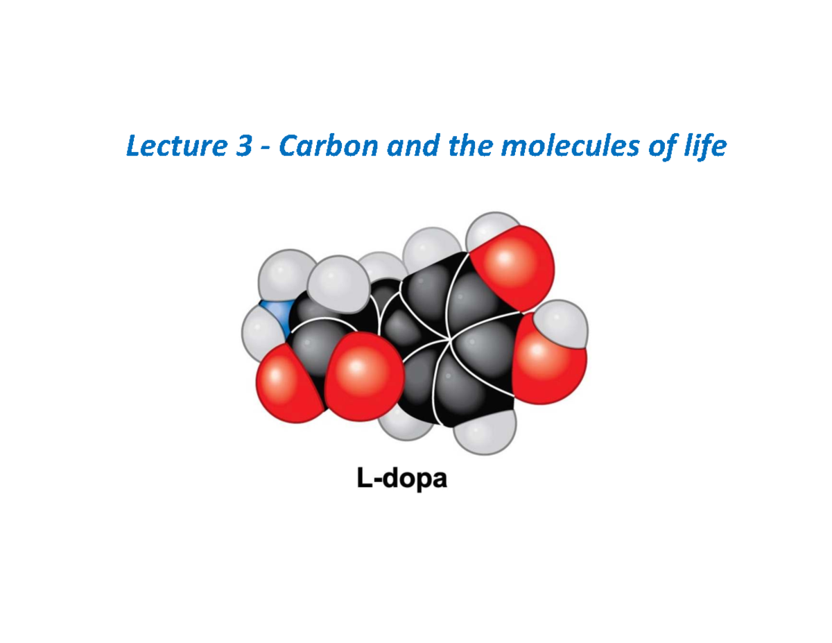 Lecture 3: Carbon and Biological Molecules - Key Concepts - Studocu