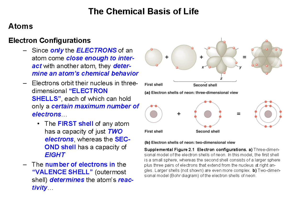 The Chemical Basis of Life: Overview of Organic Macromolecules - Studocu