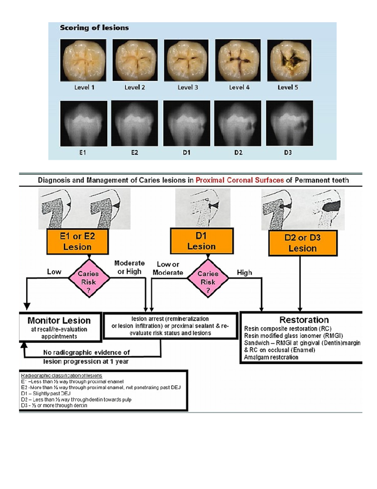 Lesion scores - Scoring of lesions Level 1 Level 2 Level 3 Level 4 ...