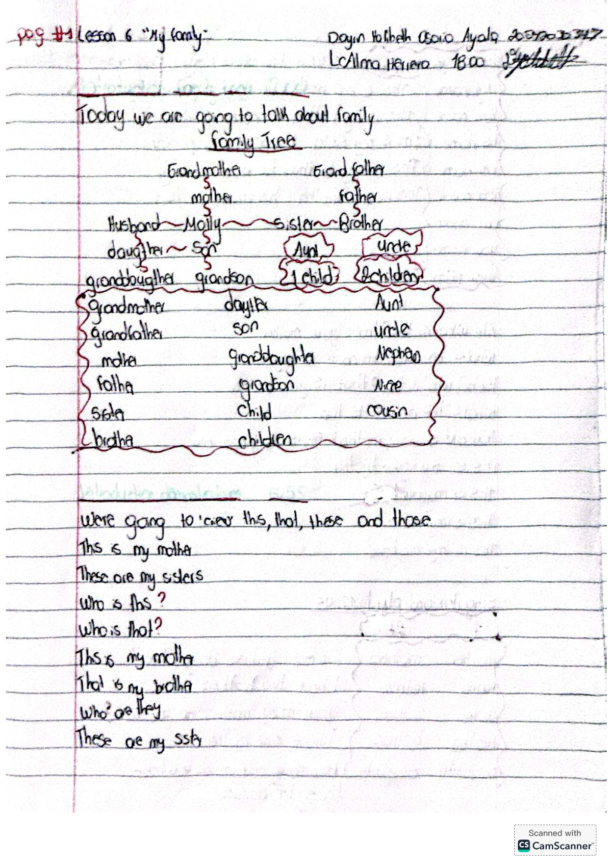 Pog Lesson 6: Family Vocabulary and Pronouns (20242030347) - Studocu