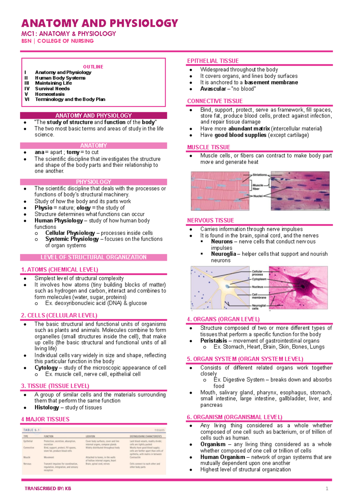 ANATOMY AND PHYSIOLOGY MC1: EPITHELIAL TISSUE OUTLINE AND HUMAN BODY ...