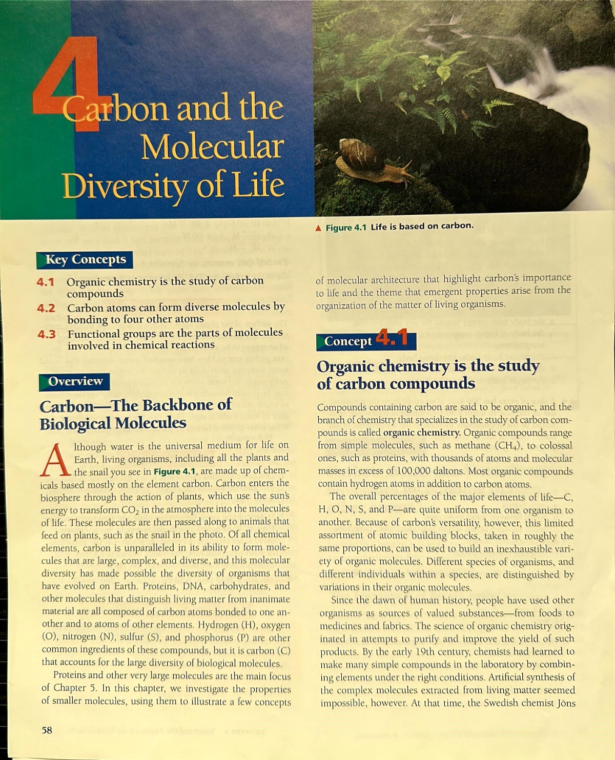AP Bio CH 4 - Molecular Diversity of Life and Carbon Compounds - Studocu