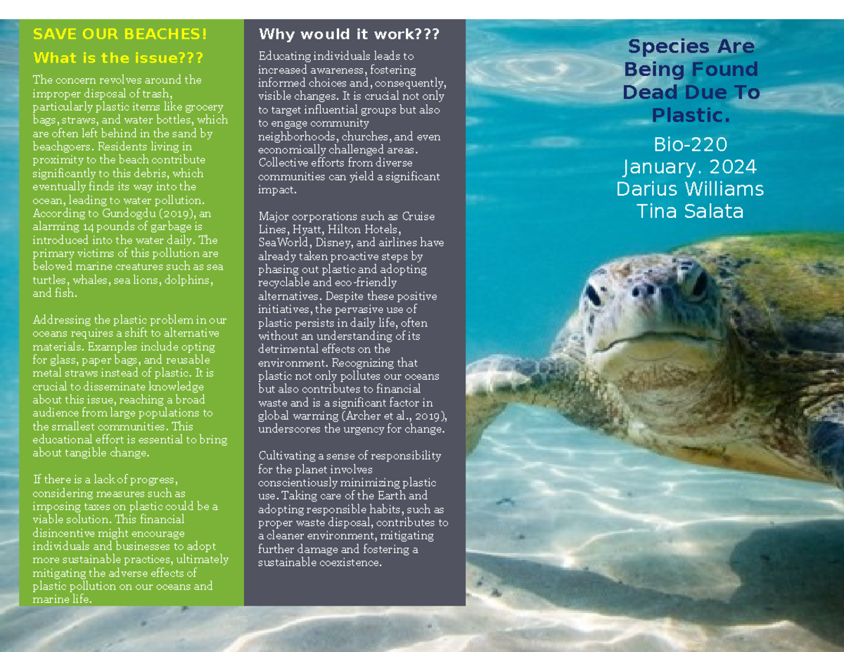 Restoration Pamphlet: Saving Our Beaches from Plastic Pollution - Studocu