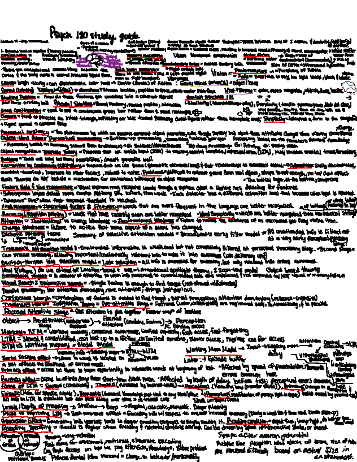 Cognitive Psychology Study Guide 120: Attention & Memory Theories - Studocu