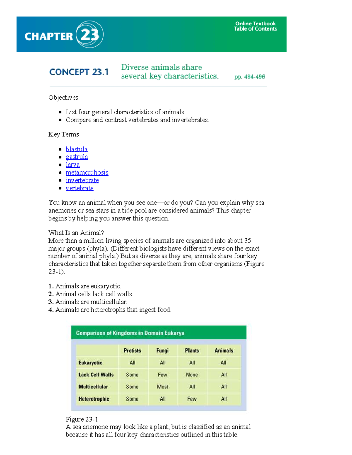 Biology 101: Characteristics & Diversity of Animals - Sponges ...