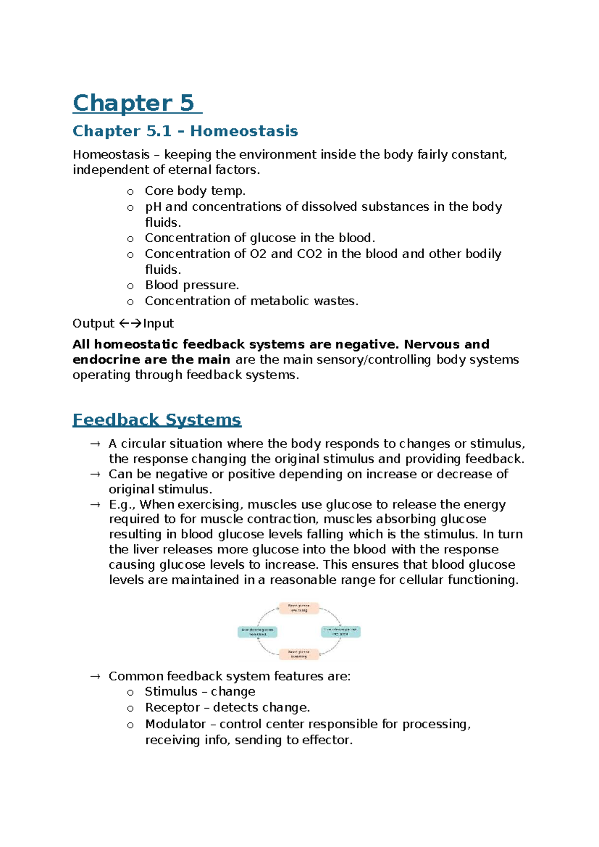 Semester 1 Revision: Chapter 5 - Homeostasis and Thermoregulation - Studocu