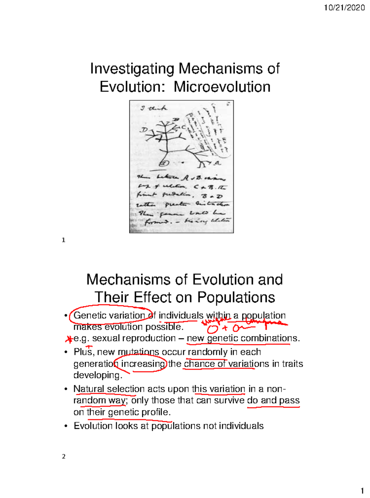 Mechanisms of Evolution (BIO101) - Final Exam Study Notes - Studocu