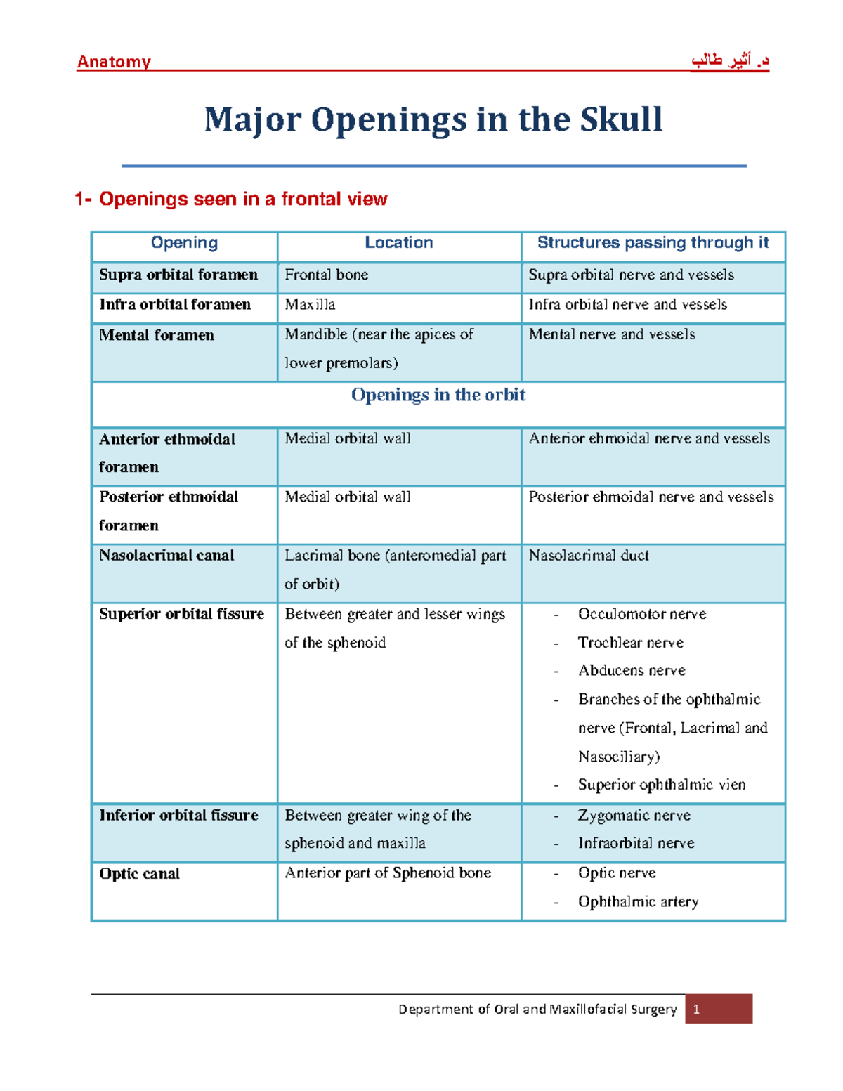 Major Opening Of Skull - anatomy - Major Openings in the Skull 1 ...