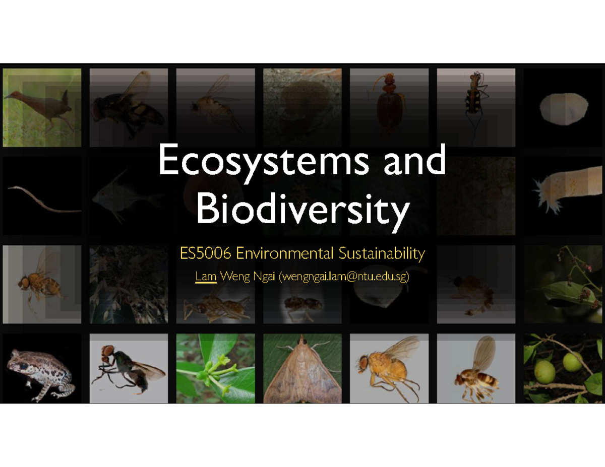 ES5006 Lecture Notes: Ecosystems and Biodiversity - Studocu