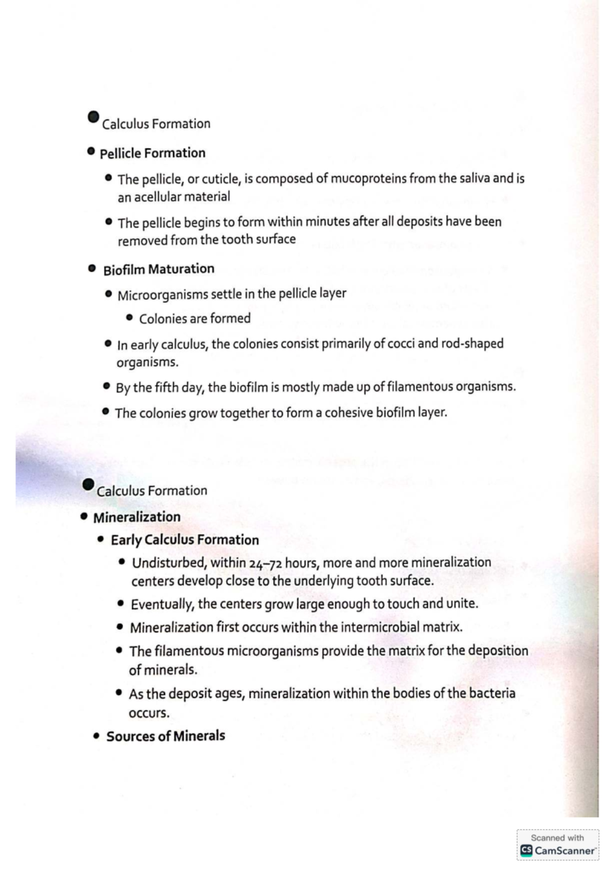 Final Exam Study Guide for Course FE96202: Calculus Formation Insights ...