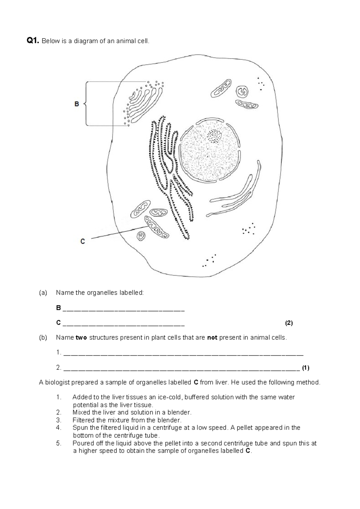Cells Exam Revision Questions - Biology 101 - Studocu