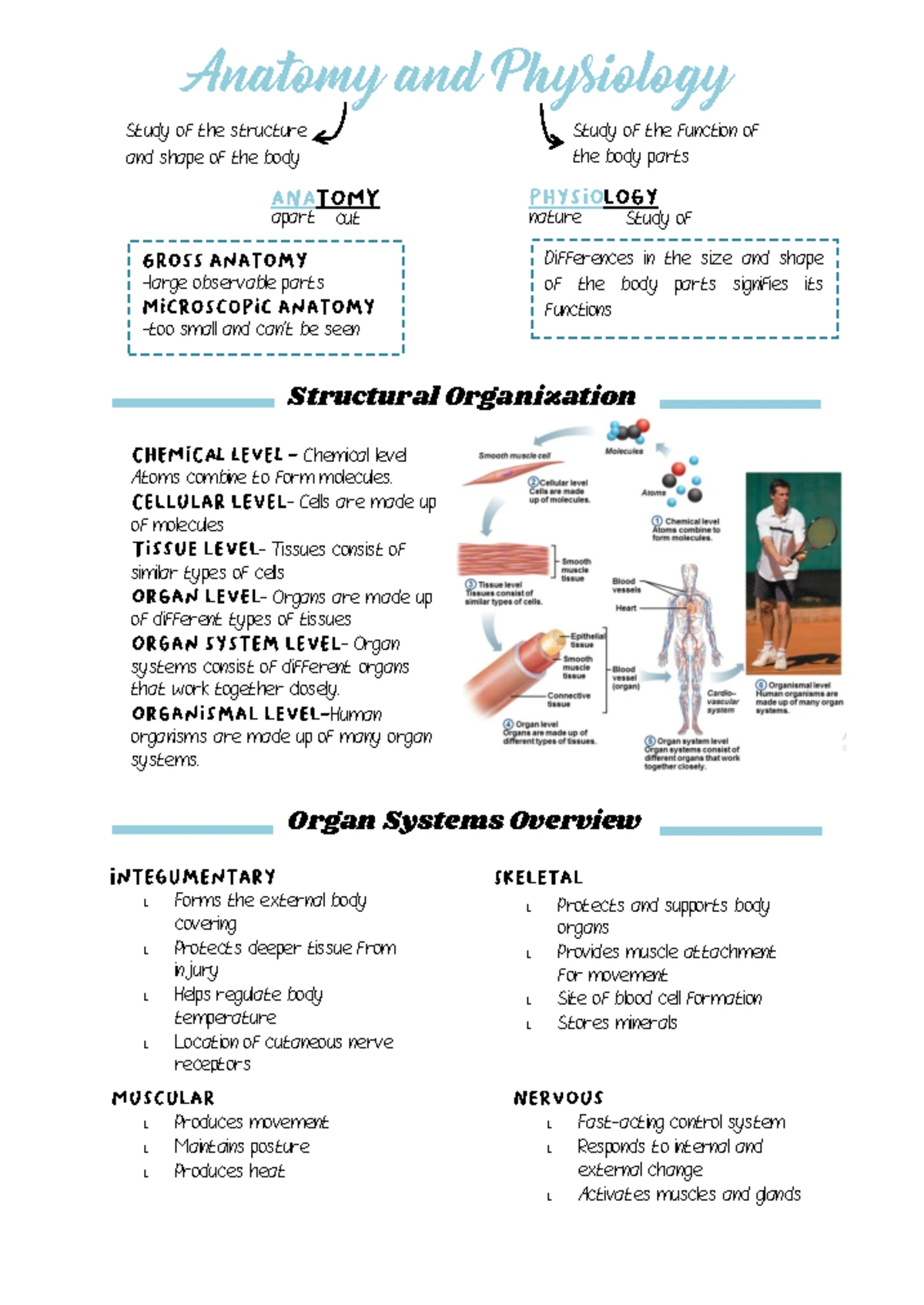 EYE AND EAR Assessment Procedure - EYE ASSESSMENT PROCEDURE RATIONALE ...
