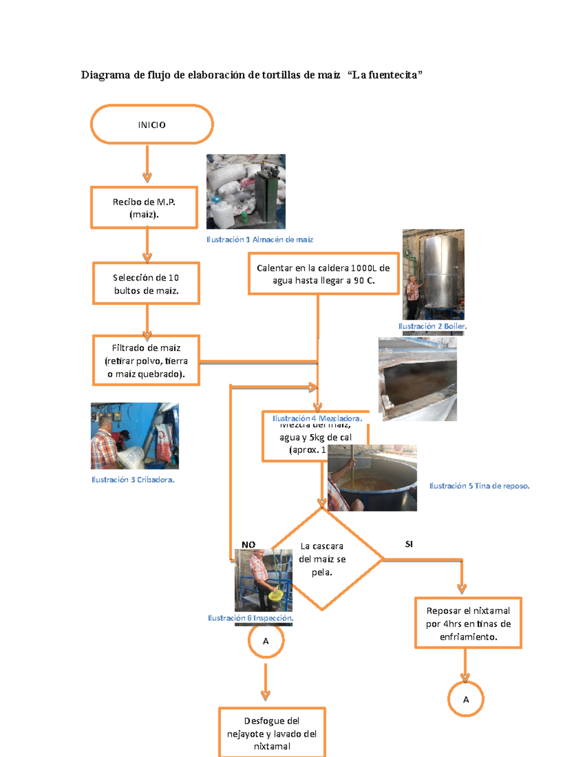 Diagrama De Flujo De Tierra El Flujo De Trabajo De La Metodología
