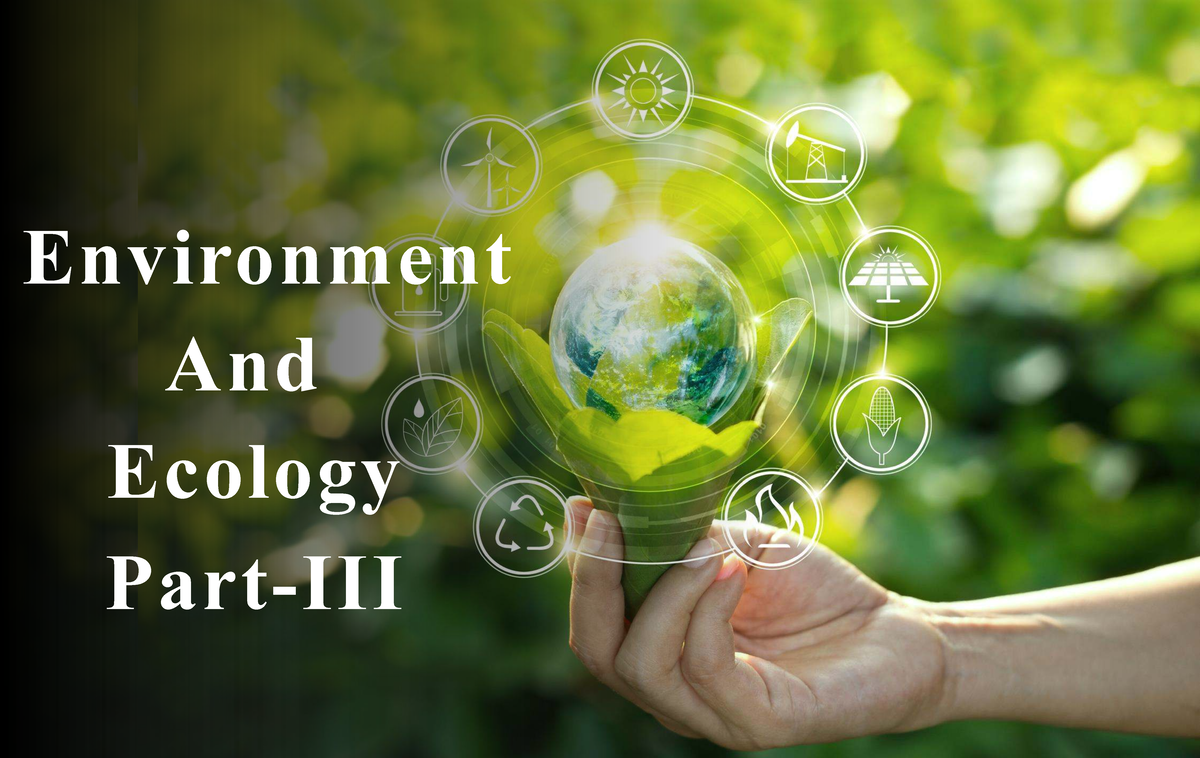 Energy Flow and Food Chains in Ecology - PARMAR SSC - Studocu