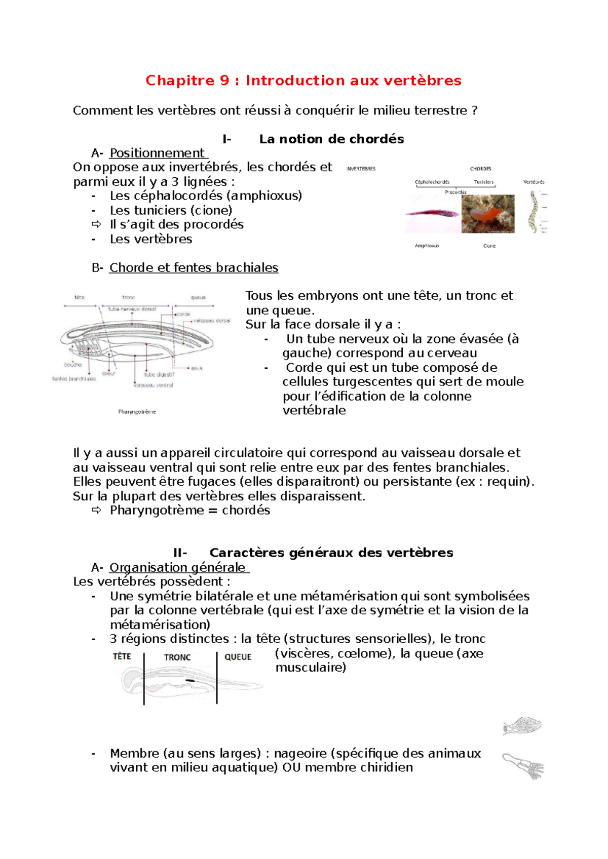 Chapitre 9 : Introduction aux vertèbres et leur conquête terrestre ...
