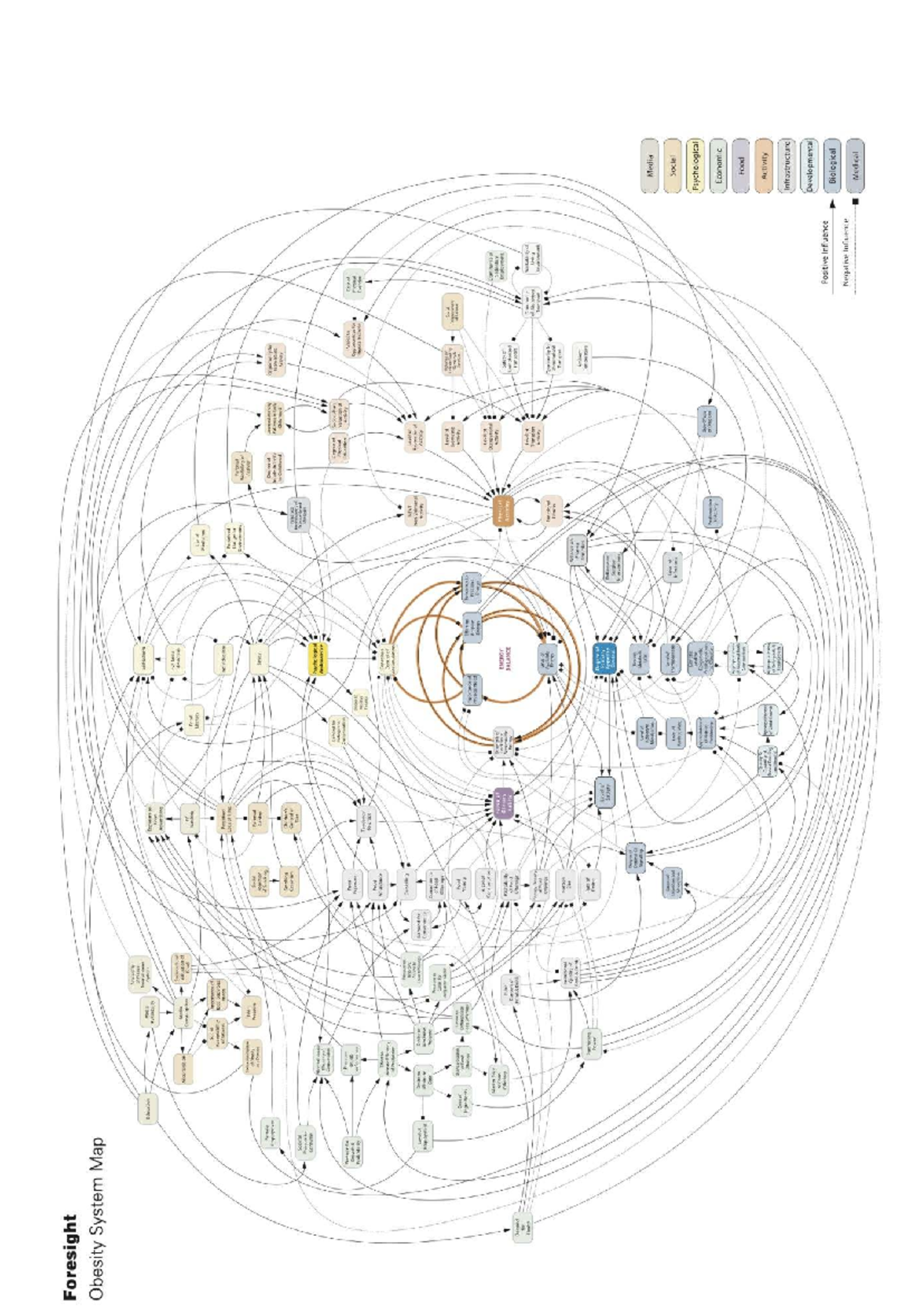 Foresight Map on Obesity: Influences and Interventions - Studeersnel
