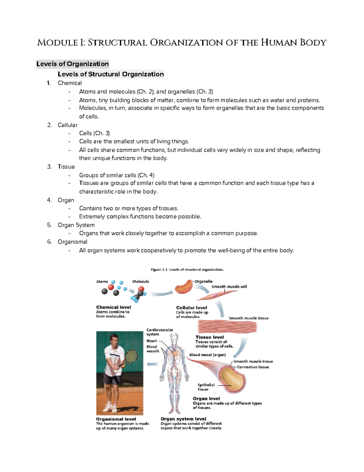 Module 1 - Structural Organization of the Human Body - 2); and ...