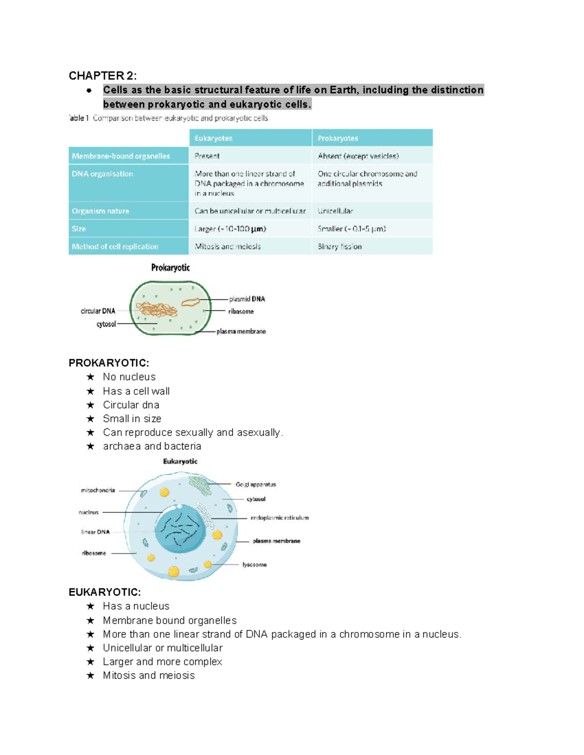 BIO 101: Chapter Overview on Cell Structure and Function for Exam 2024 ...