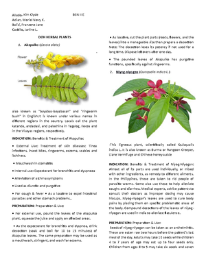 Ulasimang BATO - ULASIMANG BATO Scientific name: Peperomia pellucida (L ...