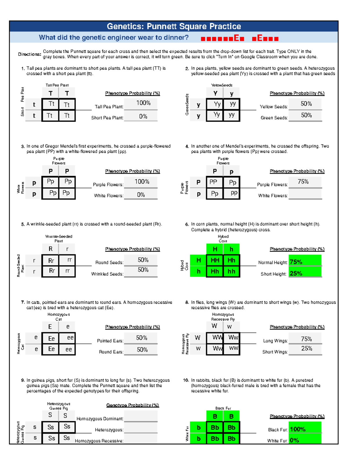 Genetics: Mendel Punnett Square Practice #1 (BIO 101) - Studocu
