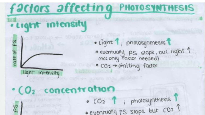 Factors Affecting Rate of Photosynthesis: Key Insights and Controls ...