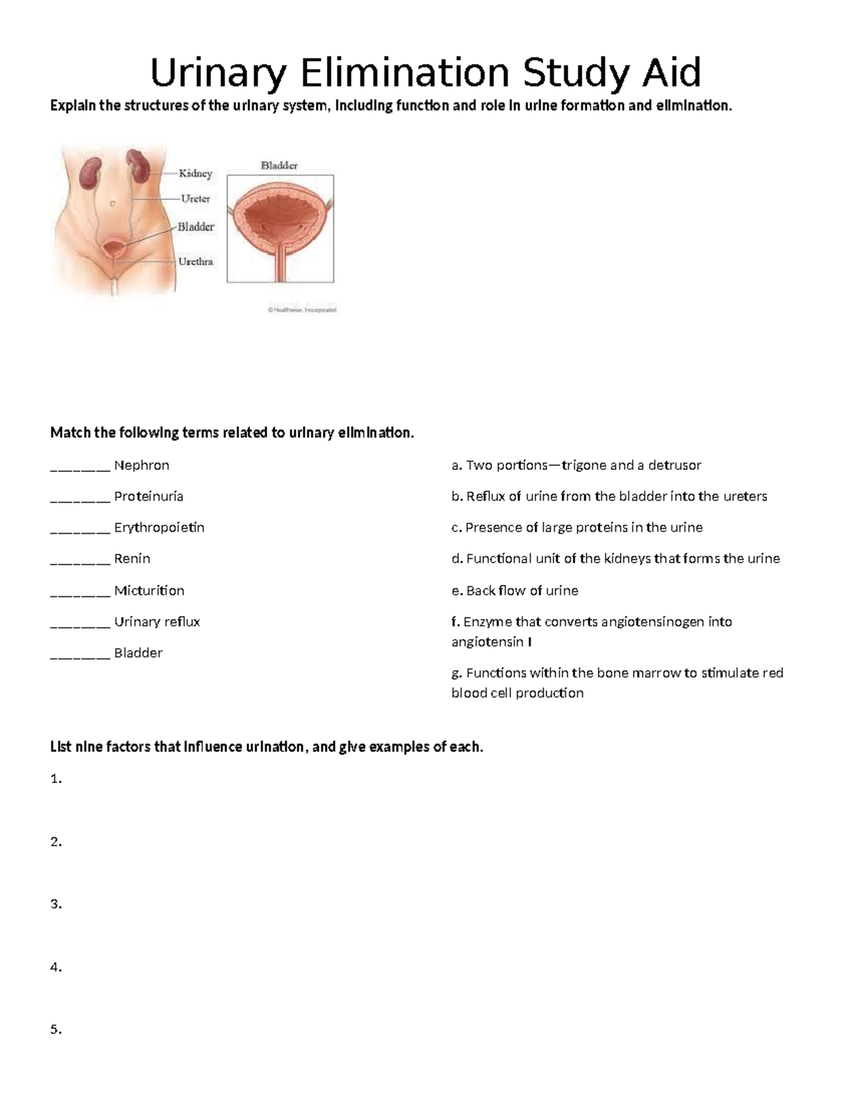 Urinary Elimination Study Aid 2025: Structures, Functions, and ...