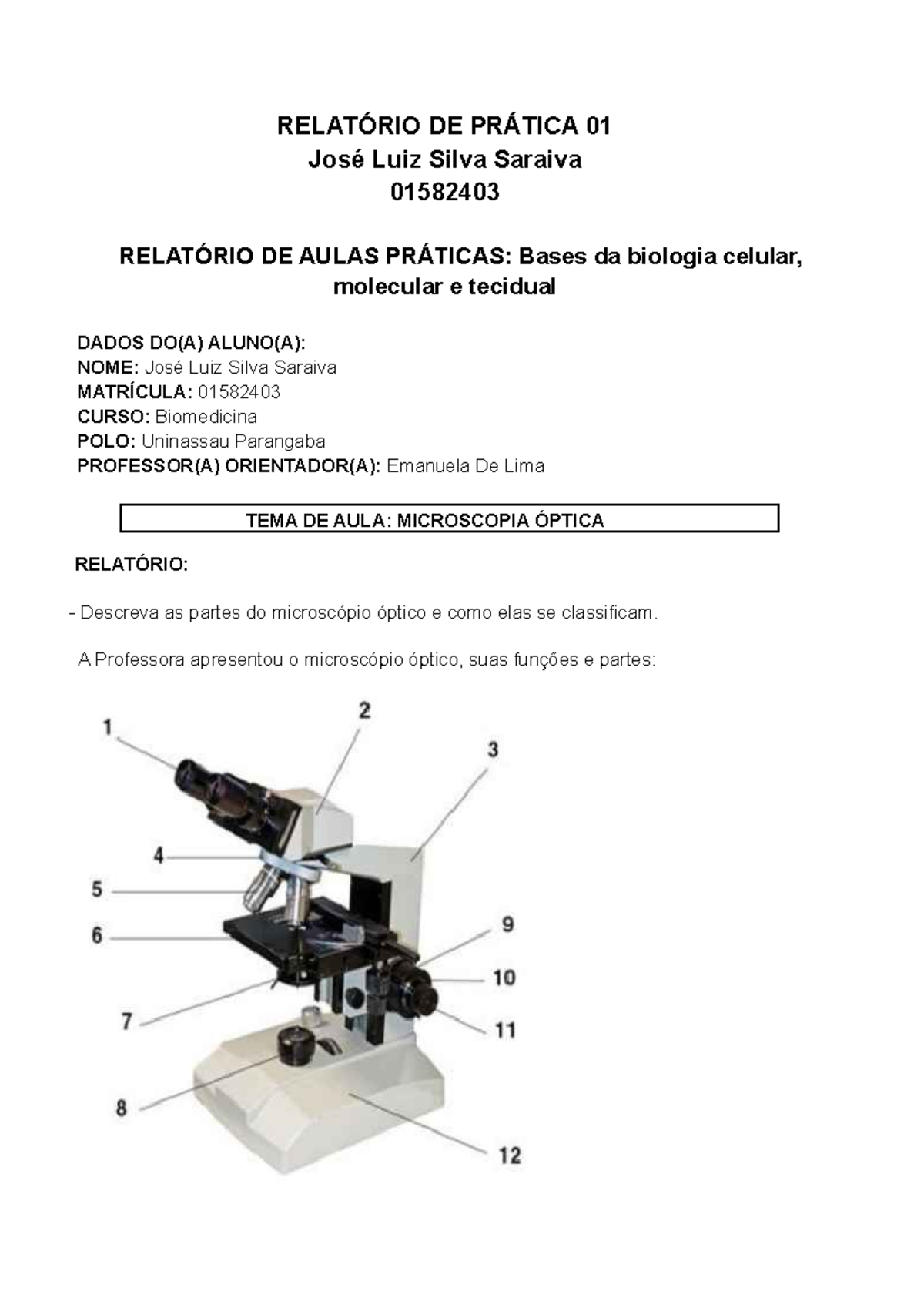 AV1 Relatório de Aula Prática em Biologia Celular e Tecidual - Studocu