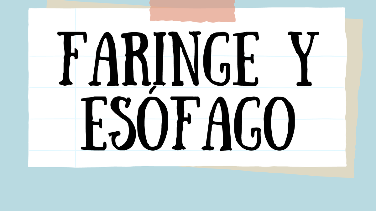 Faringe y esofago - FARINGE Y Esófago Es un órgano musculomembranoso e ...