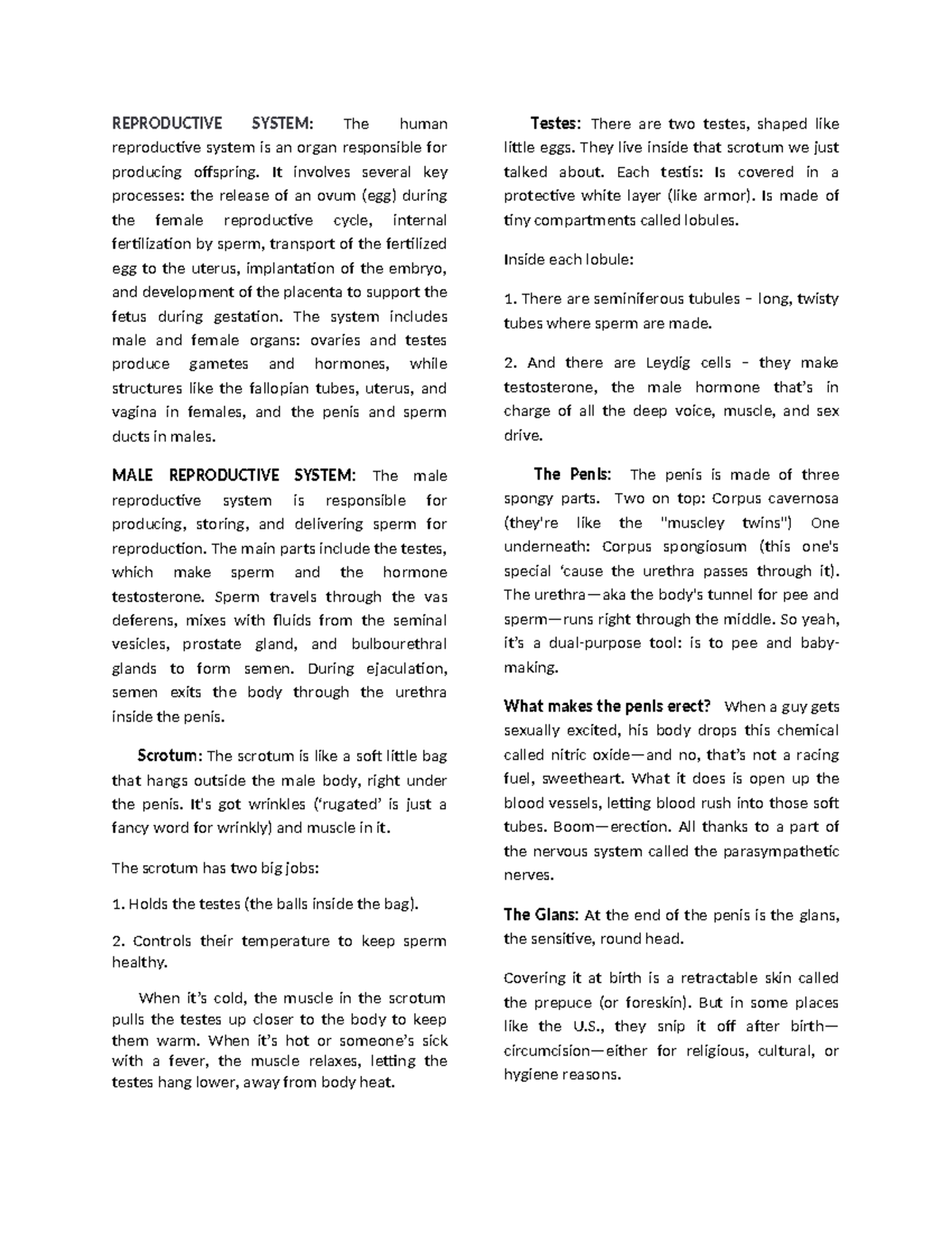 Reproductive System Overview: Human Male & Female Anatomy - Studocu