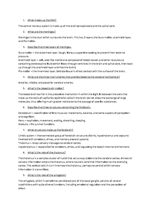 Thoeries of development - THEORY ACTIVE VS PASSIVE PERSON CONTINUOUS VS ...