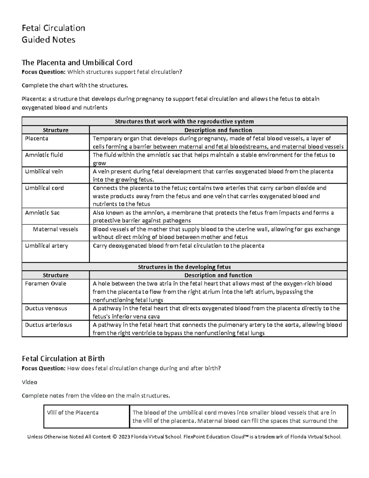 Fetal Circulation (BIO 101): Guided Notes on Structures & Birth Changes ...