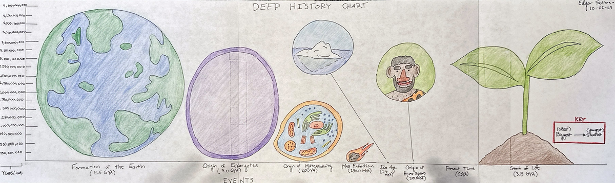 Activity 1.2 Timeline Assignment Biology 345 ASU College - Soliman DEEP ...