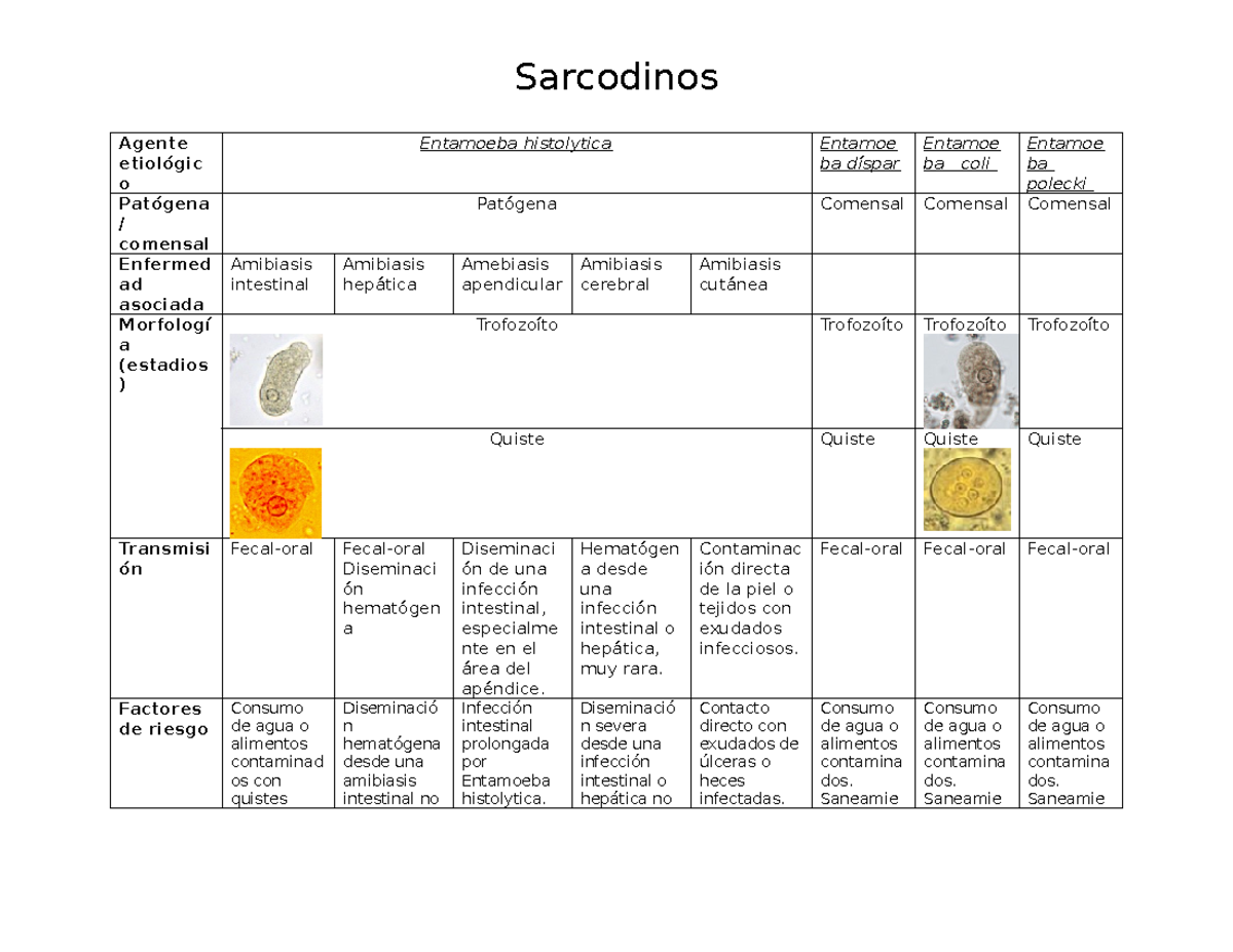 Sarcodinos - Agente etiológic o Entamoeba histolytica Entamoe ba díspar ...