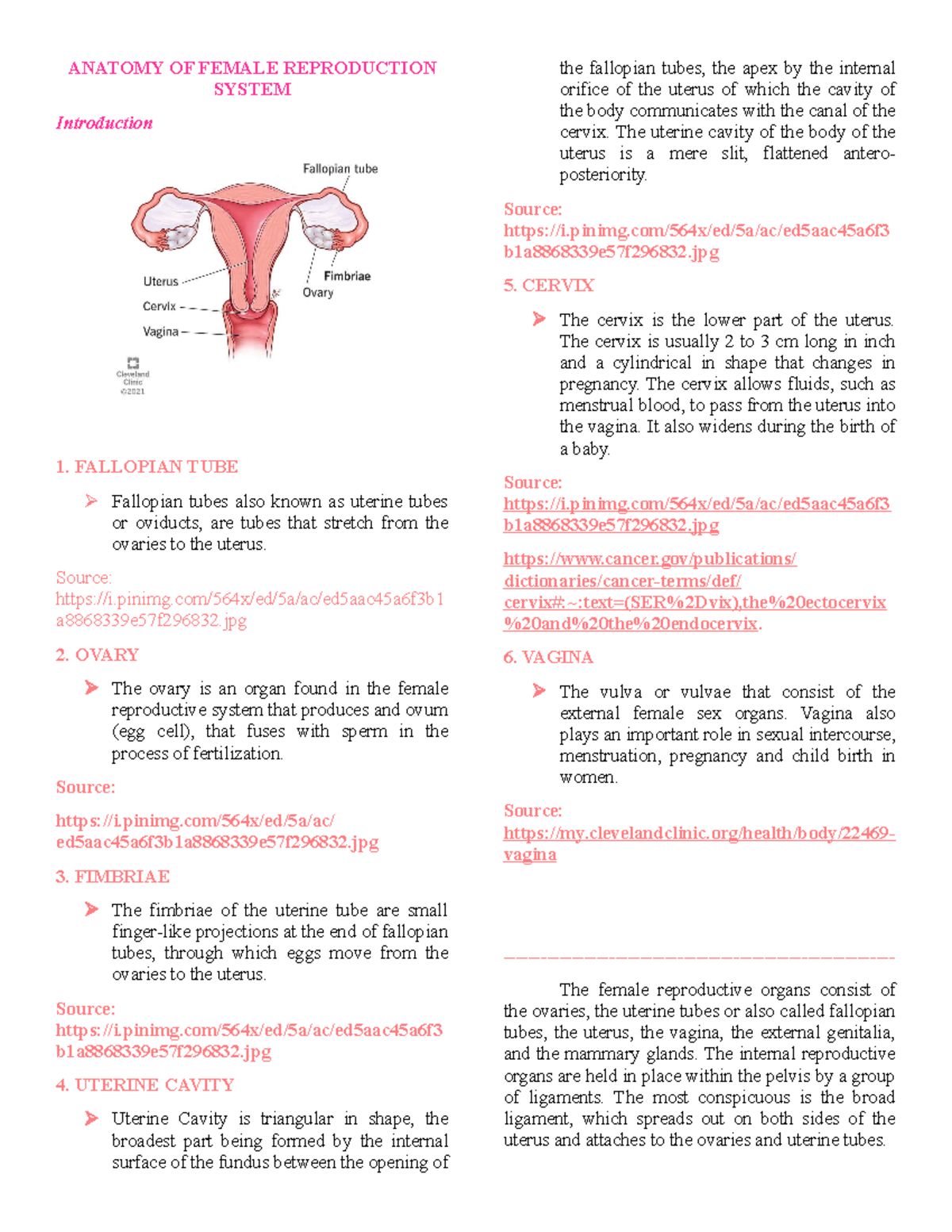 Anatomy OF Female Reproduction System - ANATOMY OF FEMALE REPRODUCTION ...