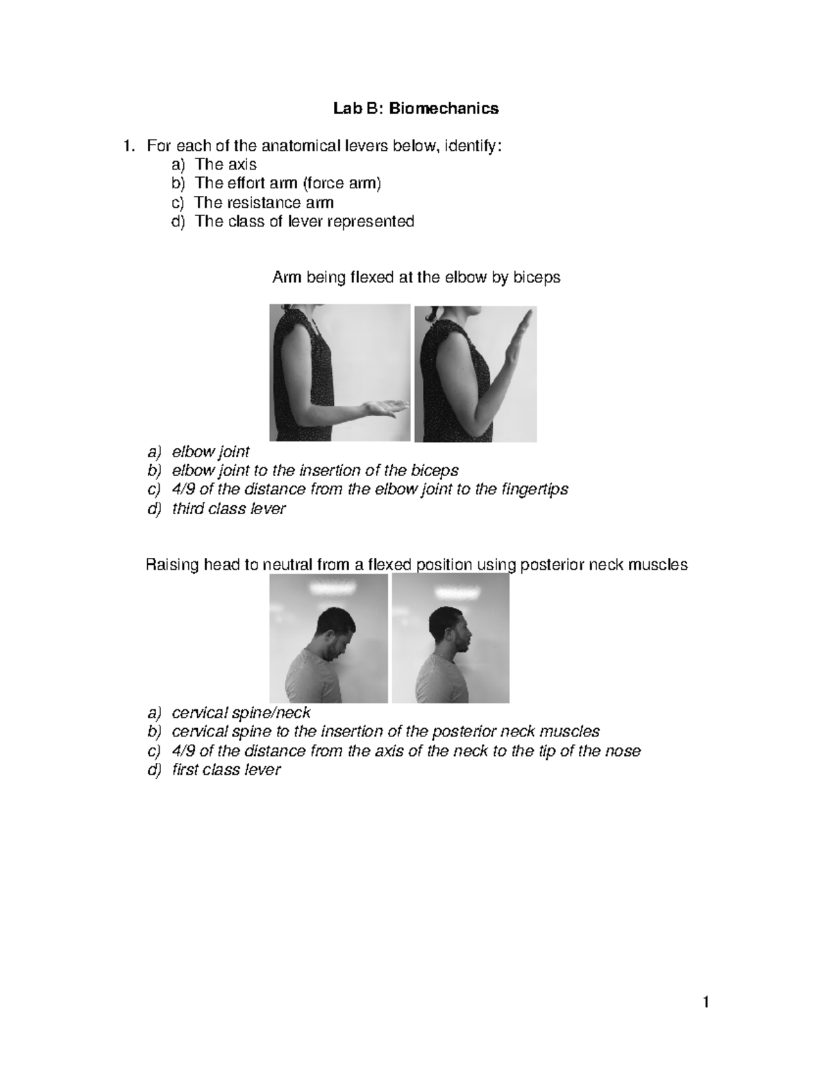 Lab B: Biomechanics - Lever Systems & Torque Dynamics Analysis - Studocu