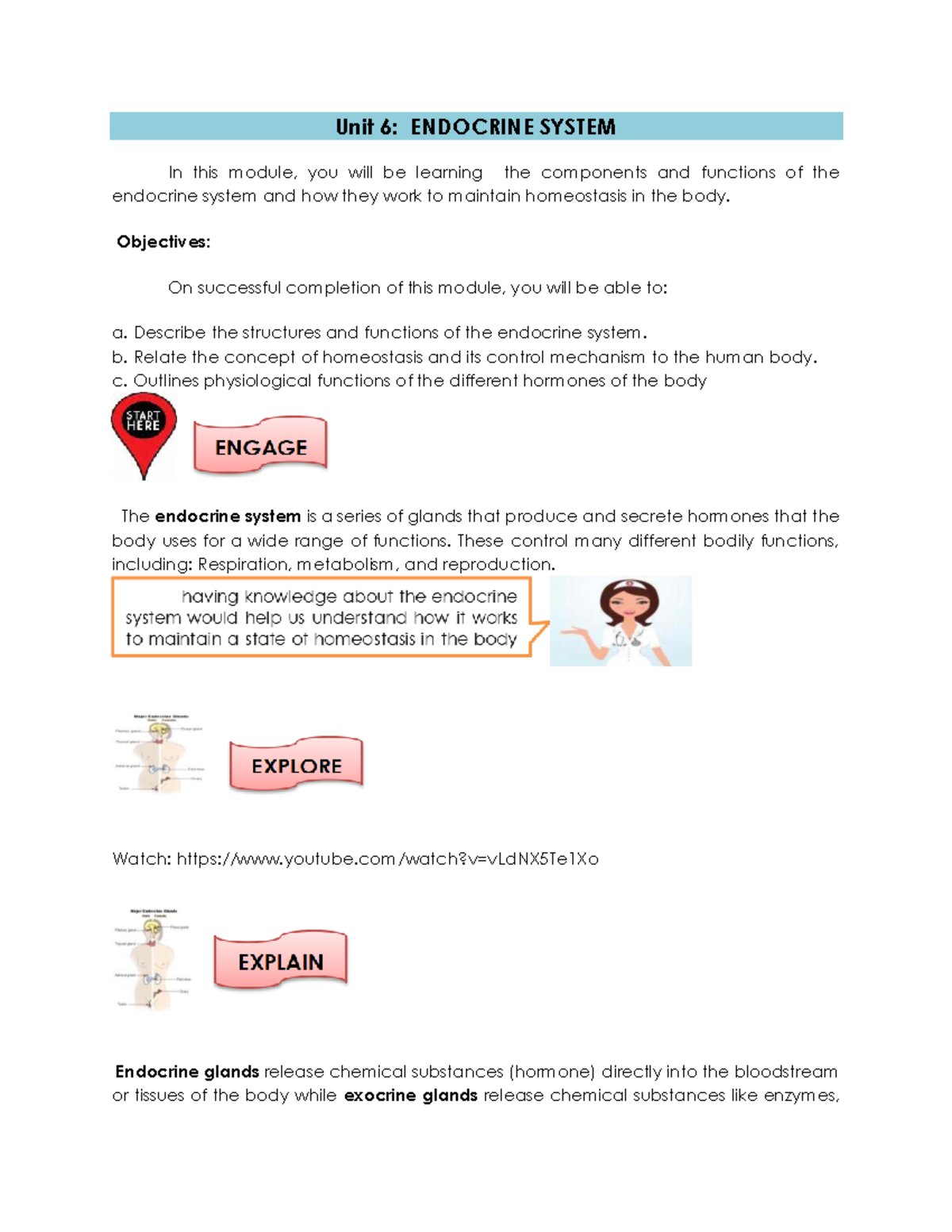 Unit 6: Endocrine System - Homeostasis & Hormonal Functions - Studocu