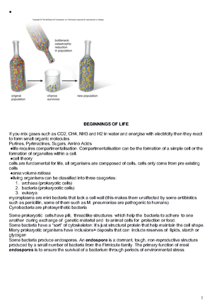Medical Sciences Common Grading Scale (CGS) Overview and Descriptions ...