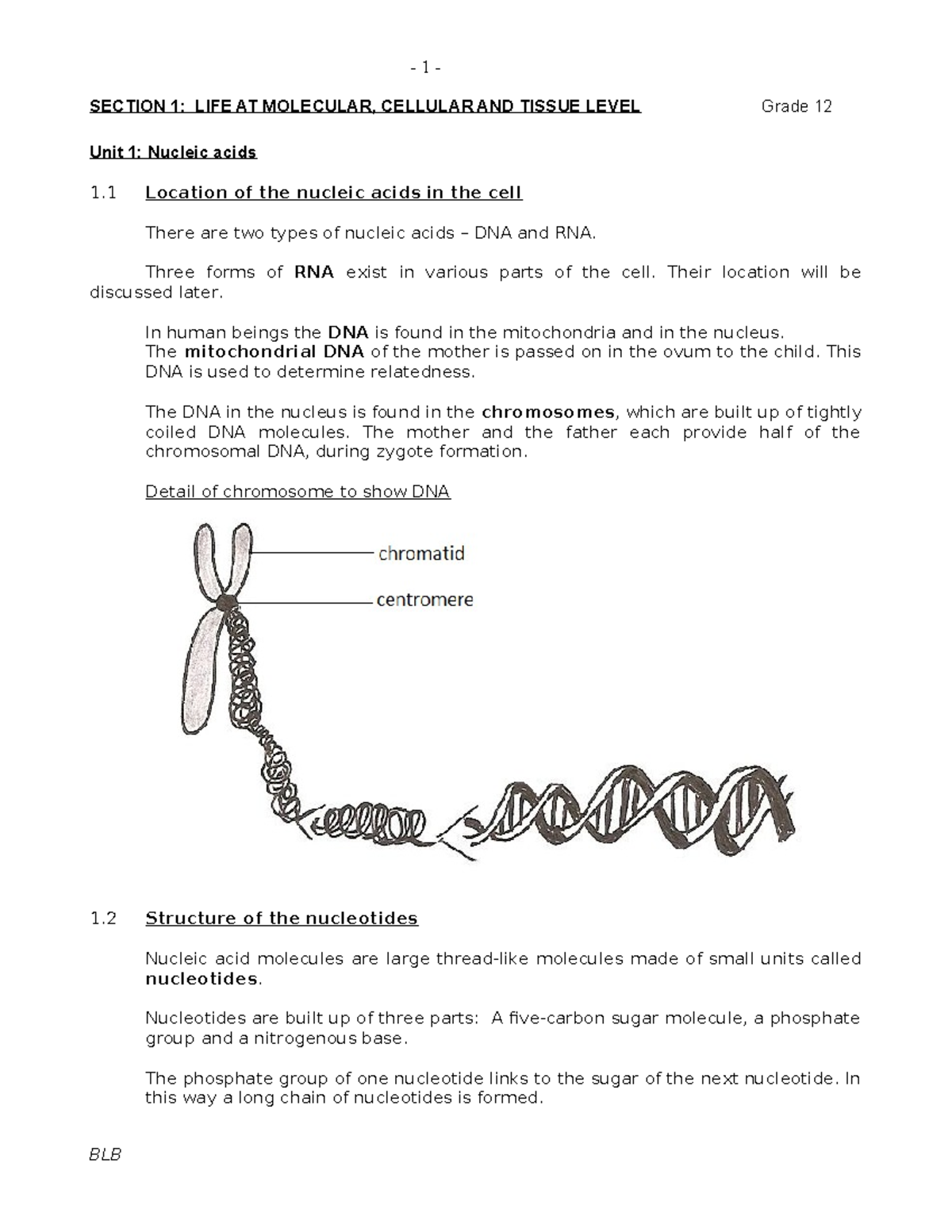 Protein Synthesis & Nucleic Acids: Life at Molecular Level (Grade 12 ...