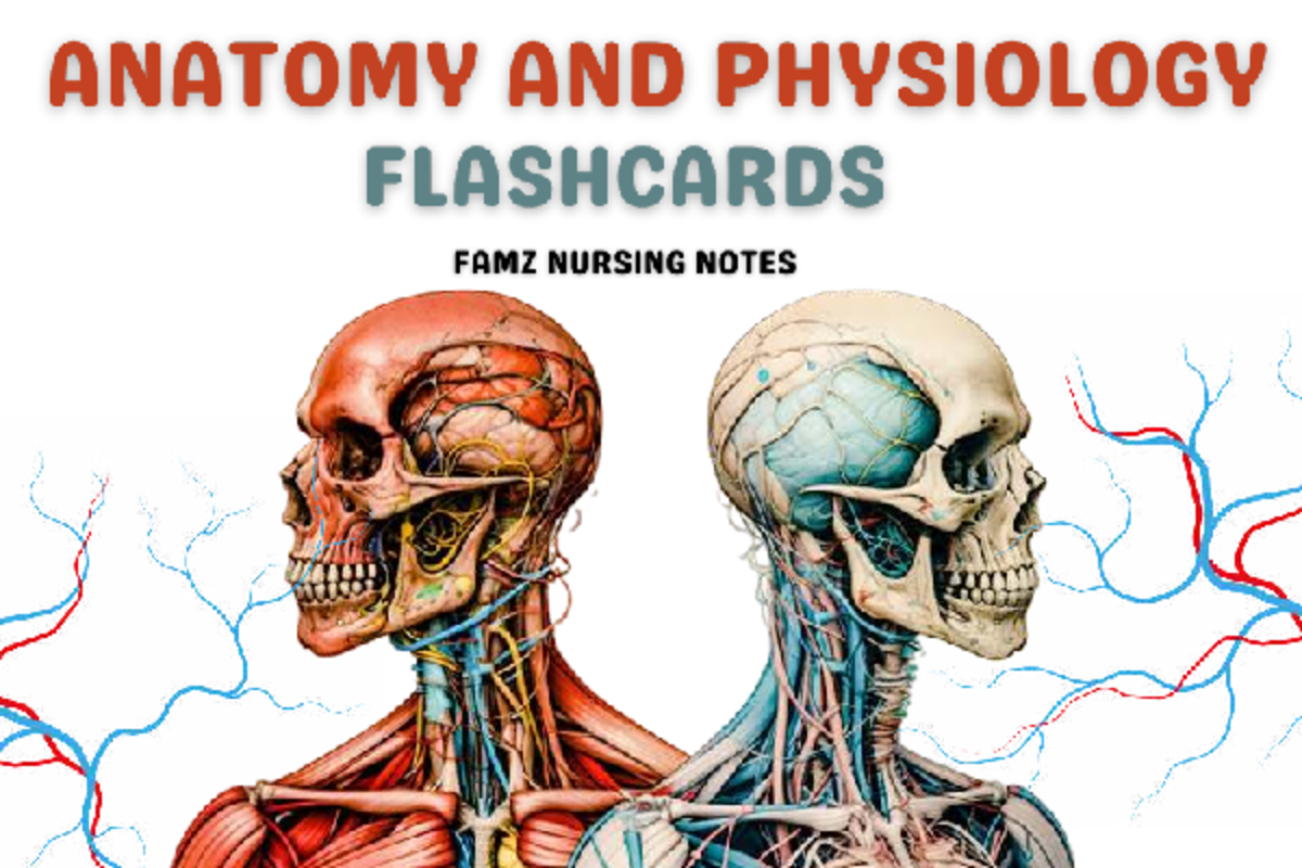 Anatomy & Physiology Flashcards: Key Concepts & Structures - Studocu