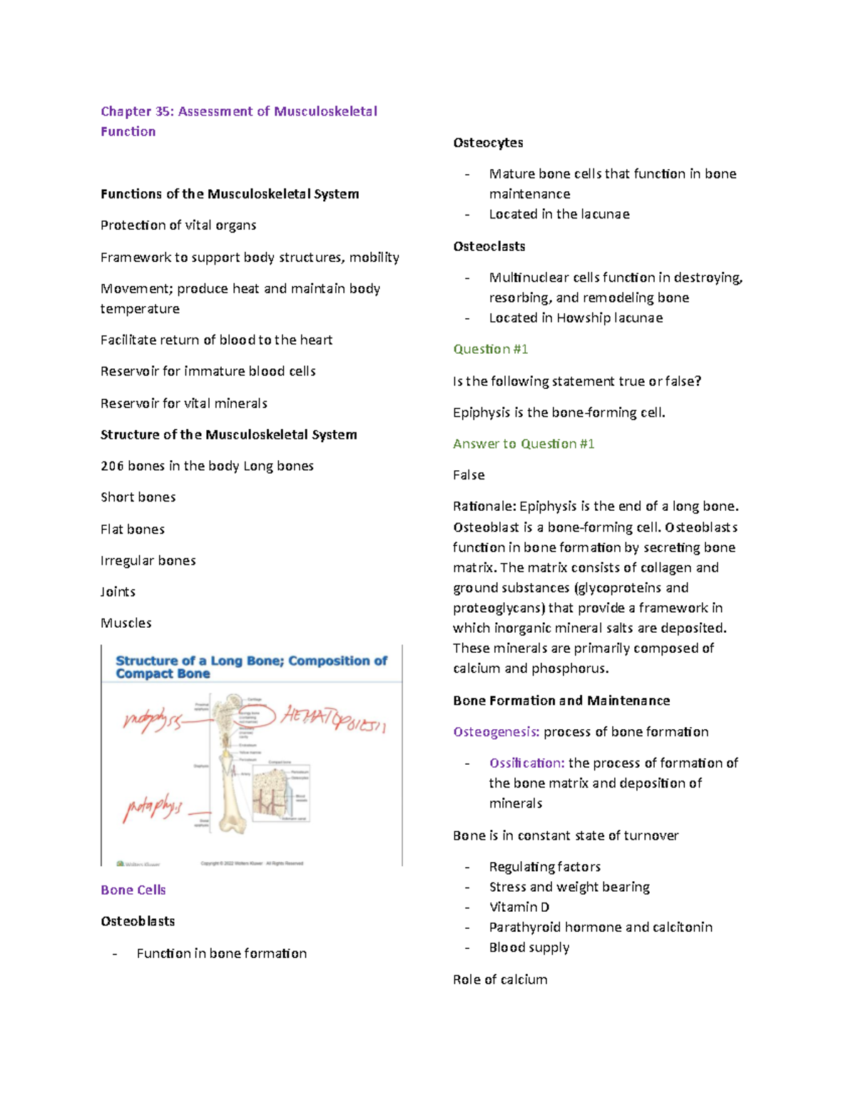 Chapter 35 & 36: Musculoskeletal Function & Patient Management Notes ...