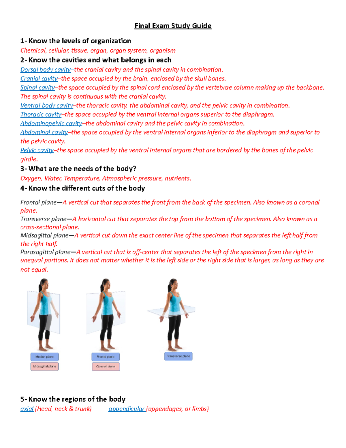 A&P Final Exam Study Guide: Key Concepts and Terms Explained - Studocu